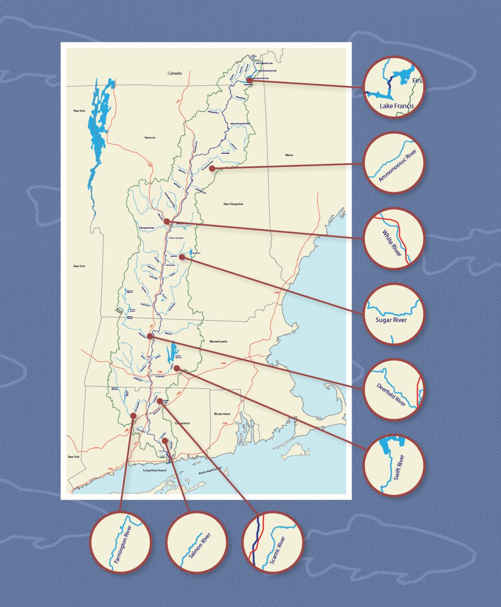 Home Waters | Estuary Magazine: For people who care about the ...