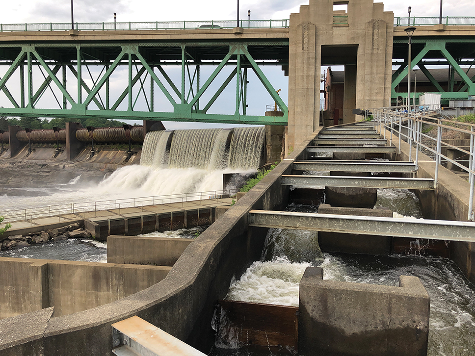 Below the Surface – Restoring Fish Runs | Estuary Magazine: For people ...