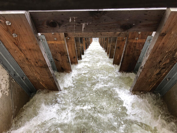 Below the Surface- A Fishway for the Tunxis (aka Farmington) River ...